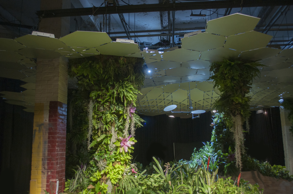 New Technology Brings Sunlight and Green Space Underground – SURFACE