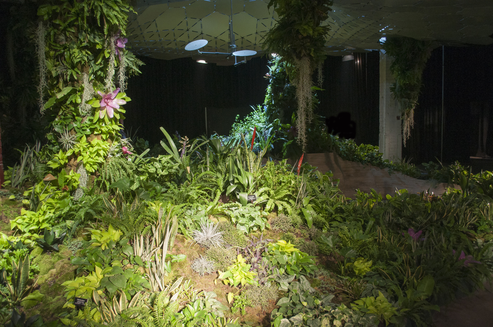 New Technology Brings Sunlight and Green Space Underground – SURFACE