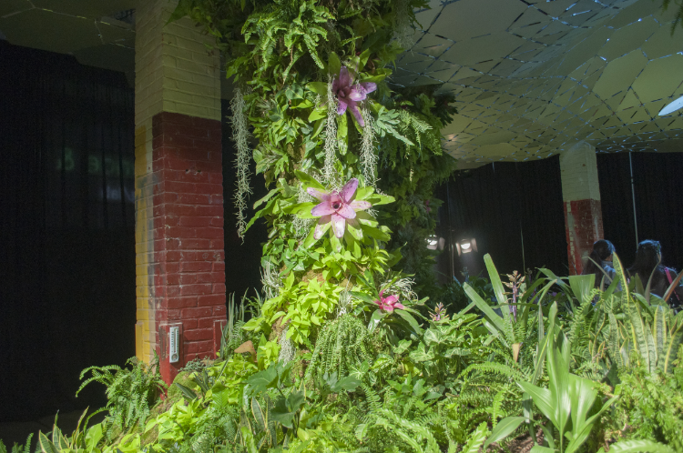 New Technology Brings Sunlight and Green Space Underground – SURFACE