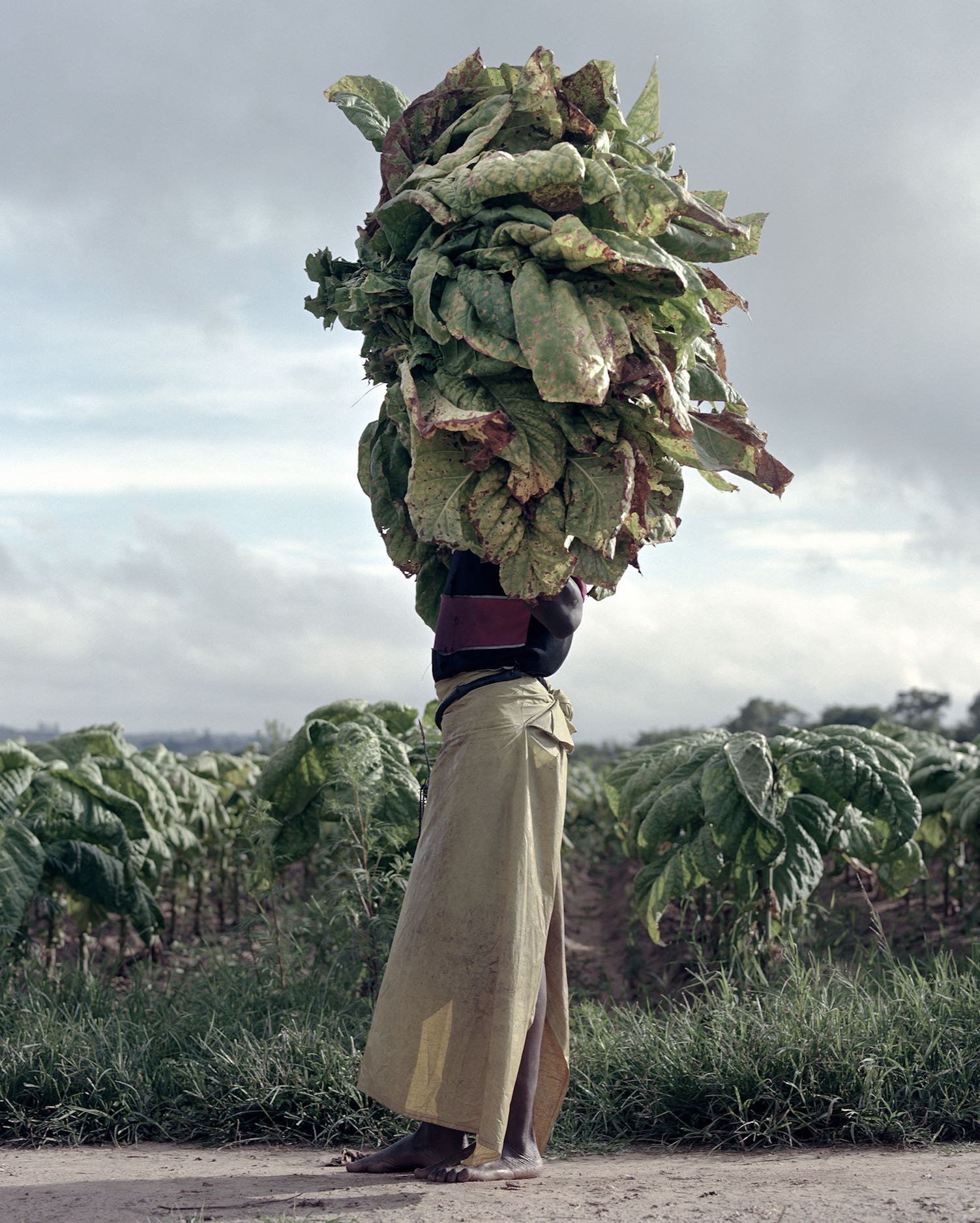 Jackie Nickerson: In and Out of Africa – SURFACE