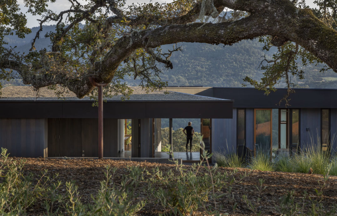 The Lichen House, Designed by Schwartz and Architecture, Is at Home in ...