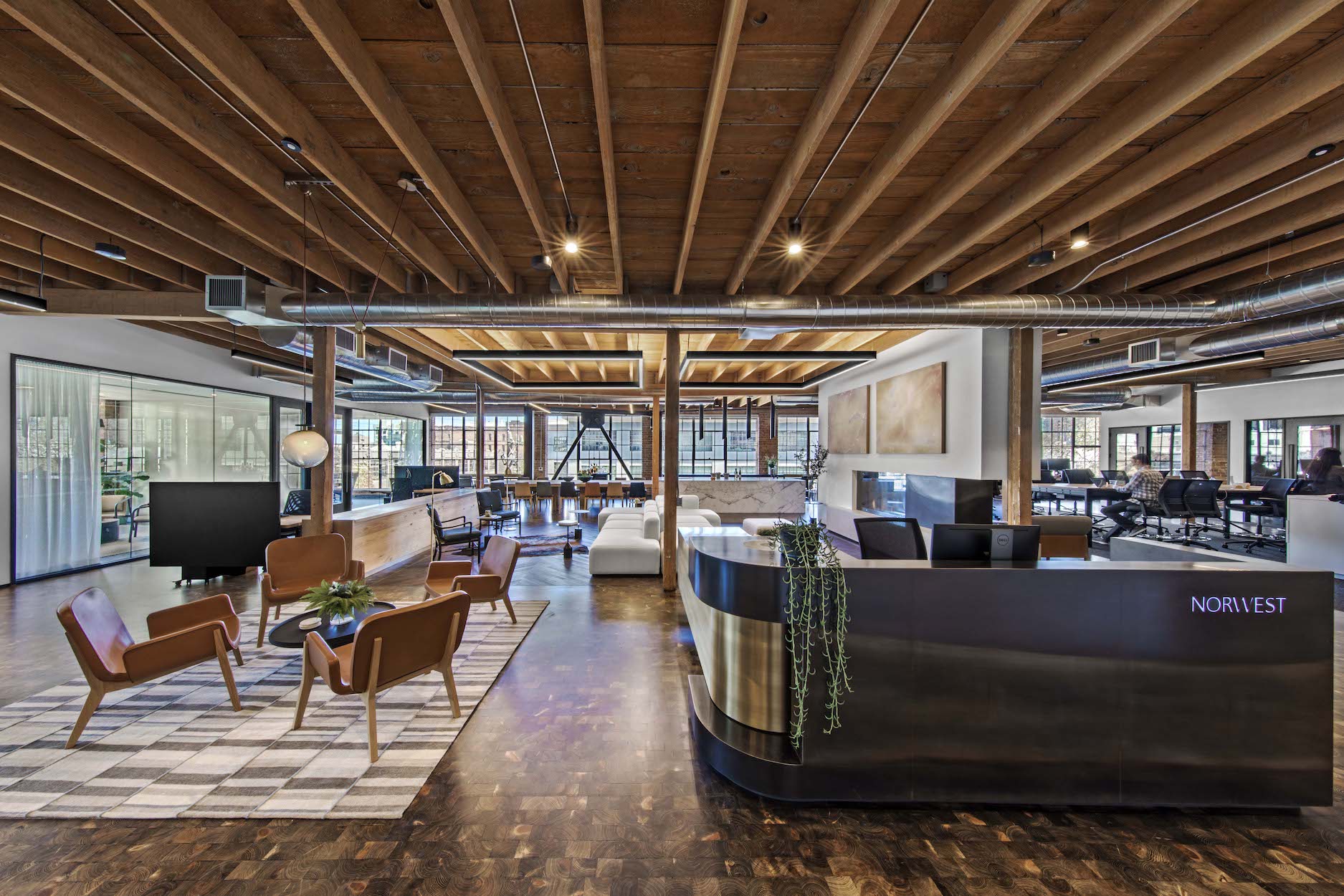 Rapt Studio's Latest Venture – SURFACE