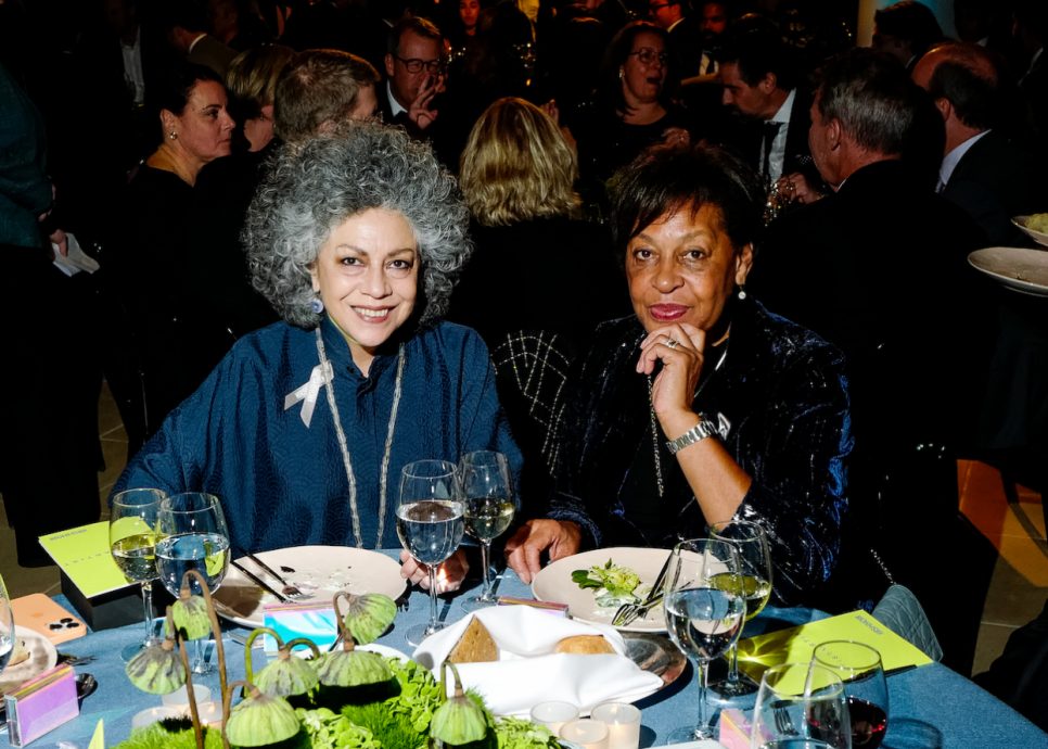 The Hirshhorn’s Artist x Artist Gala Looks Back on a Landmark Year ...
