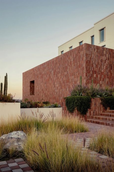 A Boutique Gem Made From the Mexican Terrain – SURFACE