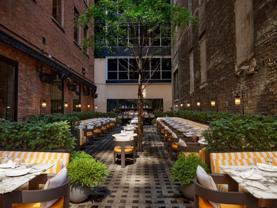 In Toronto, Daphne Takes Diners Down the Rabbit Hole – SURFACE